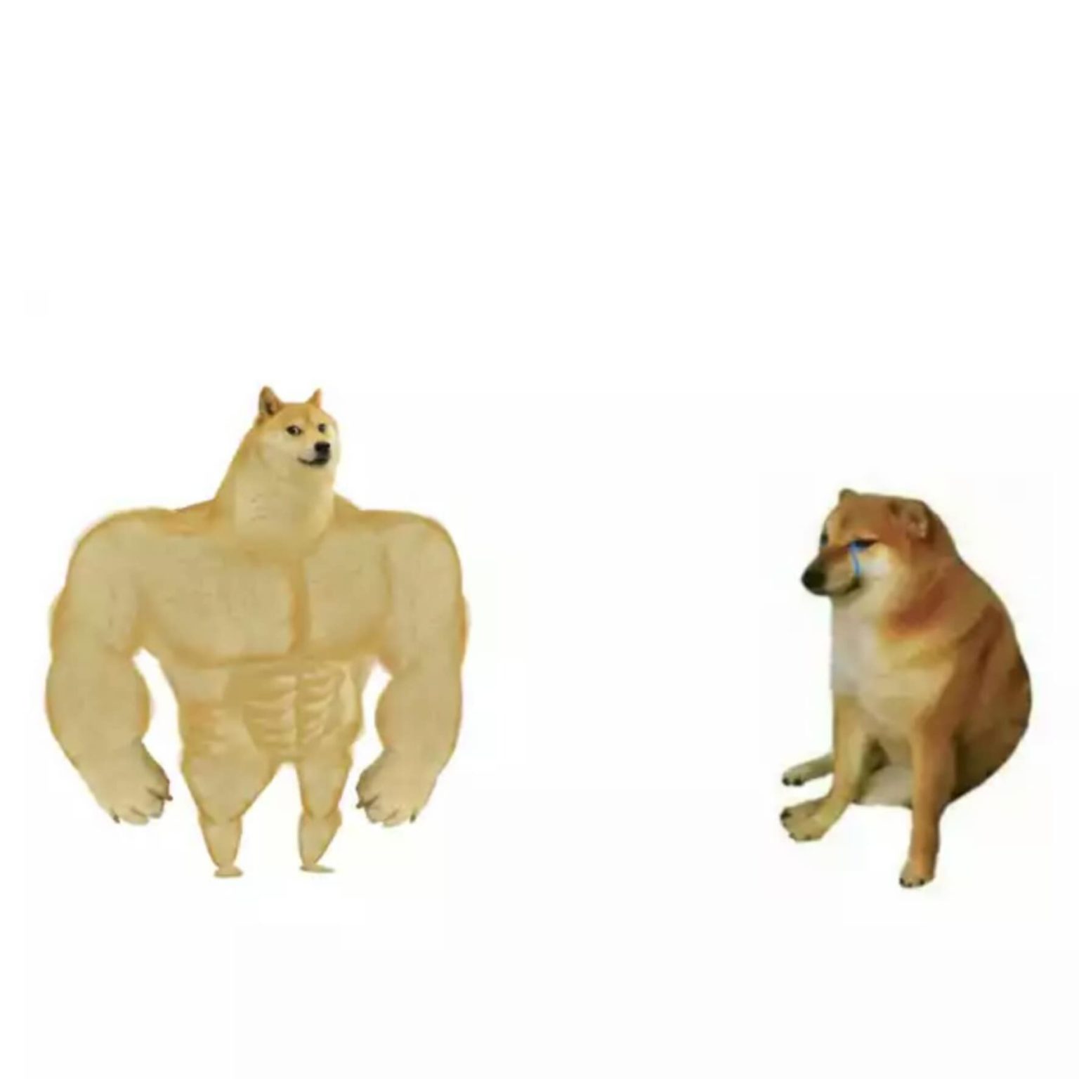 Doge Meme Templates - Indian Meme Templates