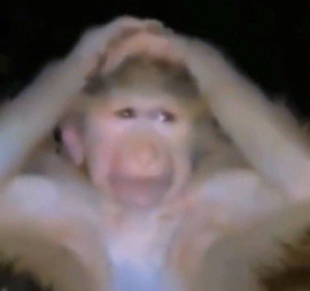 Rajpal Yadav shocked reaction - Indian Meme Templates